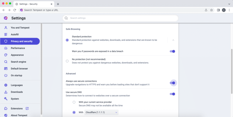 Tempest Browser Review 2024: How Private Is It?