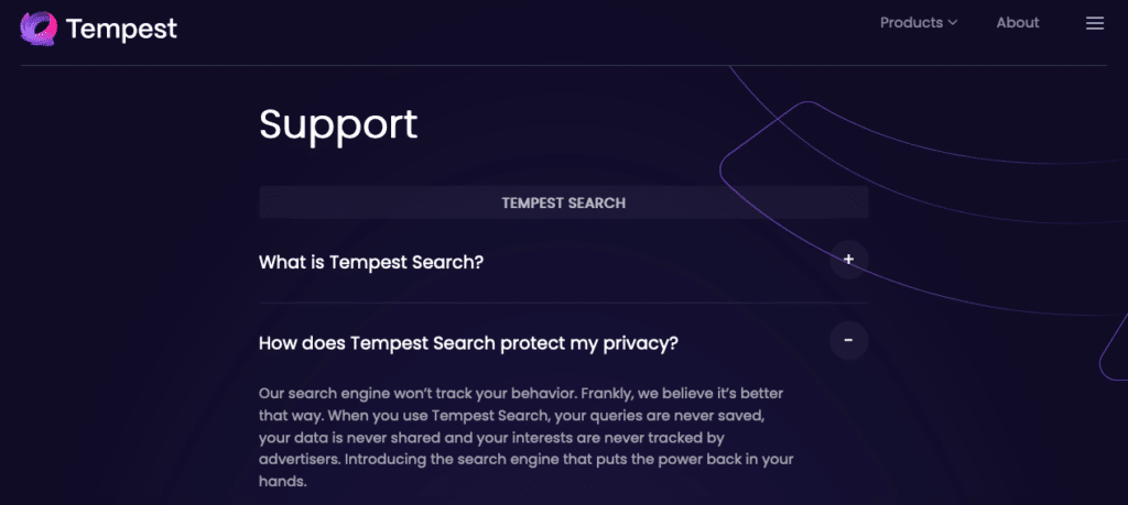 Tempest Browser Review 2024: How Private Is It?