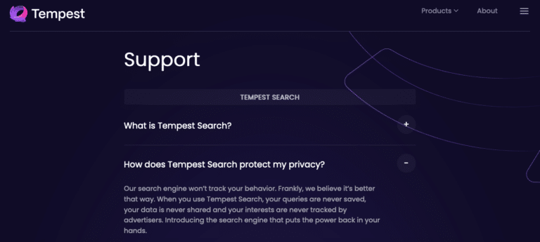 Tempest Browser Review 2024: How Private Is It?