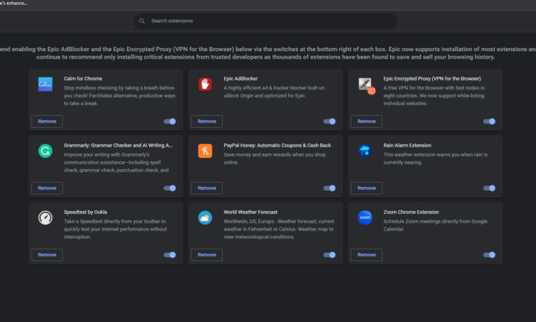 Epic Privacy Browser Review 2025 [Features, Security & More]