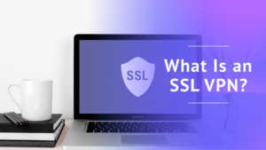 What Is an SSL VPN? Types, How It Works, & Use Cases 2025